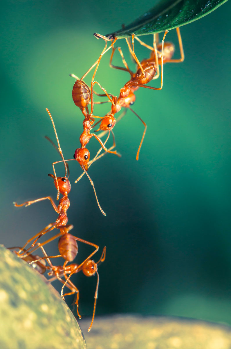 RESEARCH & DEVELOPMENT – Endurance Overseas